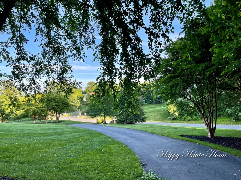 Easy Way to Cut those Low Hanging Tree Branches - Happy Haute Home